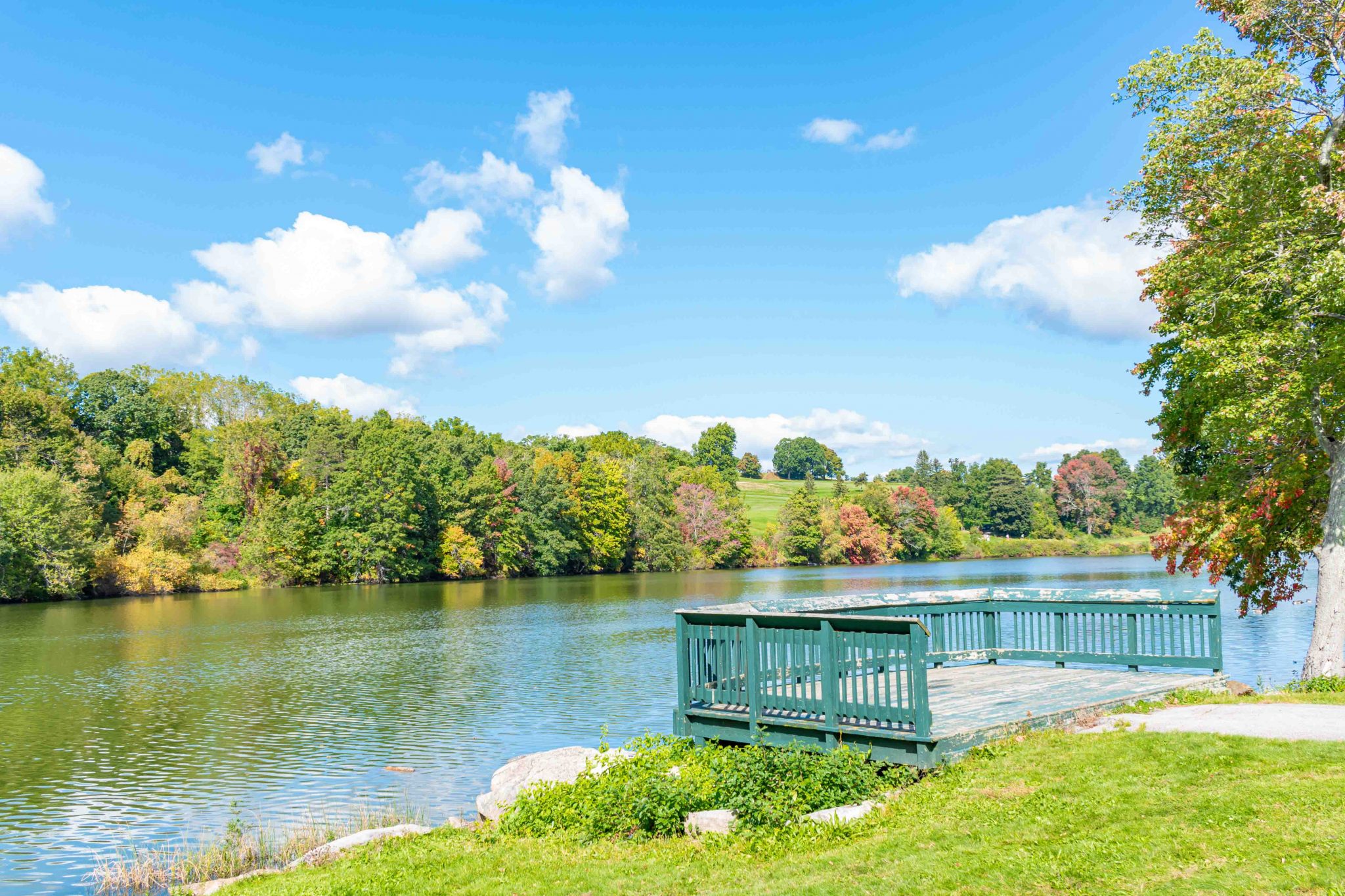 Activities | Green Hill Park Coalition